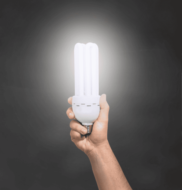 Lighting Inspection Services | ECQA