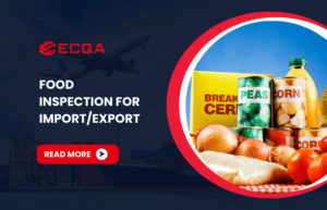 Food inspection for import/export | ECQA