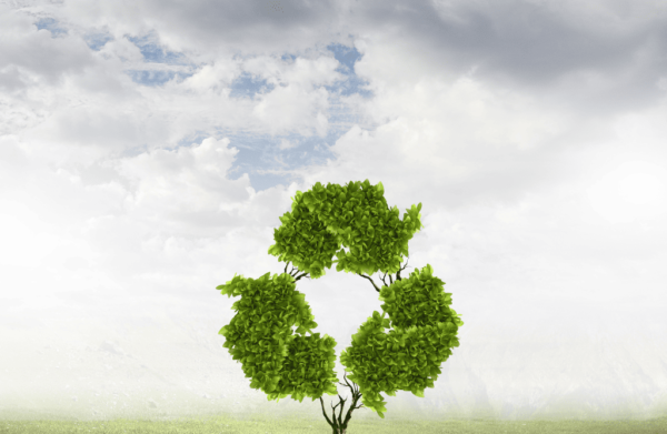 EU's New Packaging Rules 2025 | ECQA