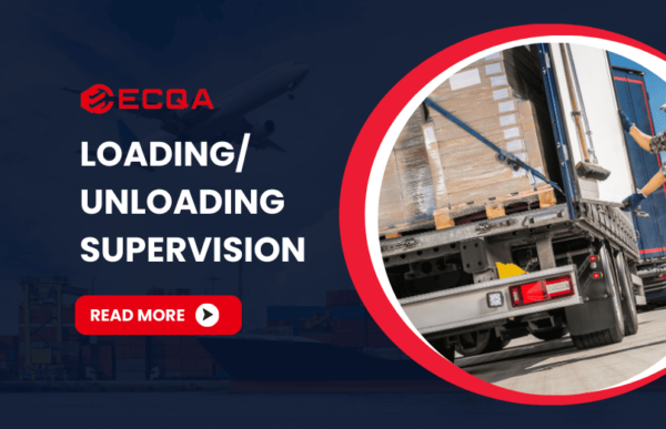 Container Loading Supervision Guide
