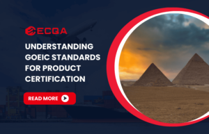 Understanding GOEIC Standards | ECQA